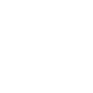 QUIENES SOMOS – Moses Seguros